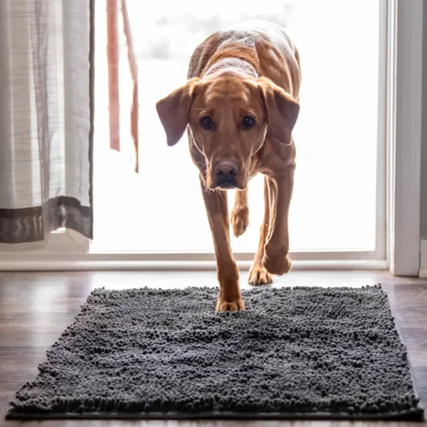 Dog mud mat – TEMPLATE